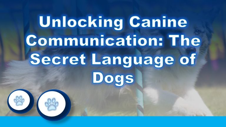 Unlocking Canine Communication: The Secret Language of Dogs – Technopet